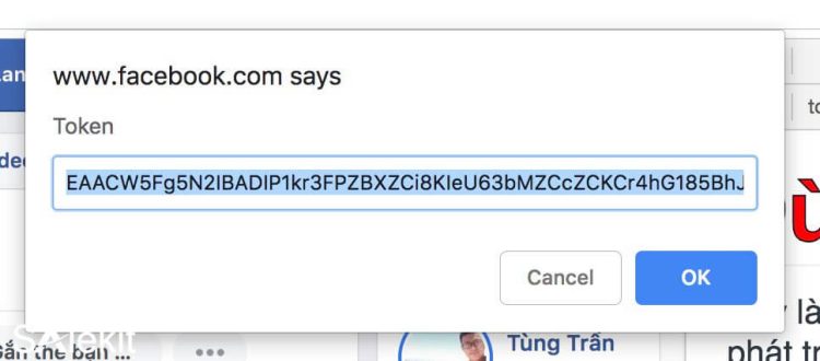 Token Facebook Là Gì? Cách lấy token Facebook đơn giản nhất? | ATP Software