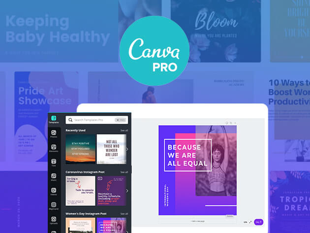 Hướng dẫn kiếm tiền với Canva mới nhất 2025