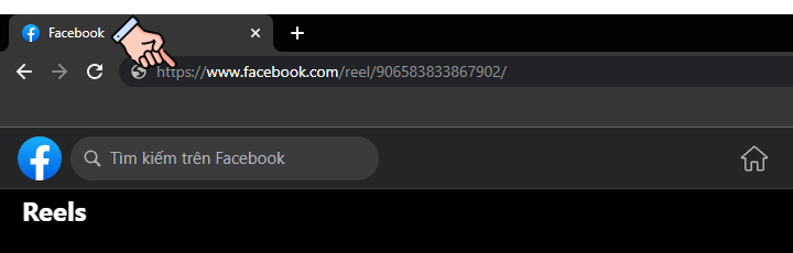 Tải video Facebook Reels - Facebook Reels Download
