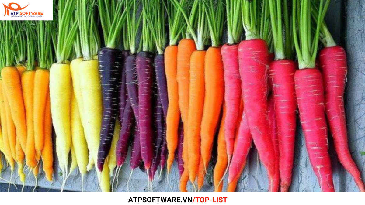 Top 10 loại rau xanh nên ăn hàng ngày