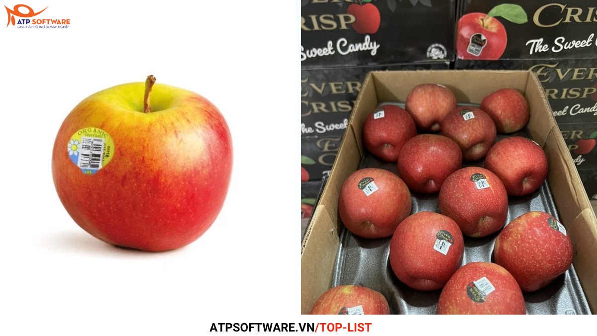 Top 5 loại táo ngon nhất thế giới