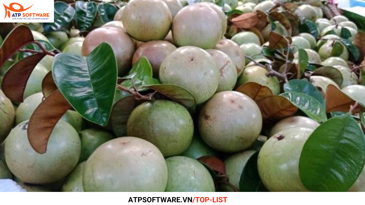 [Review] Top 5 loại trái cây đặc sản Tiền Giang