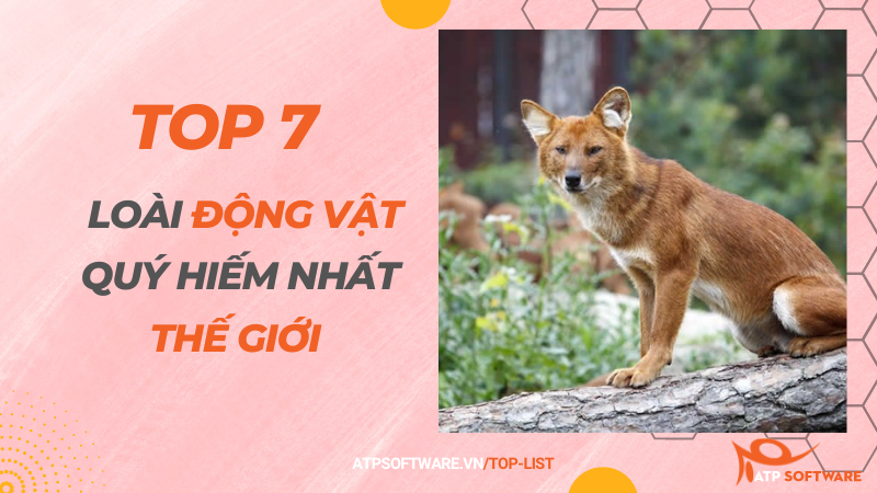Top 7 loài động vật quý hiếm nhất thế giới | ATP Software