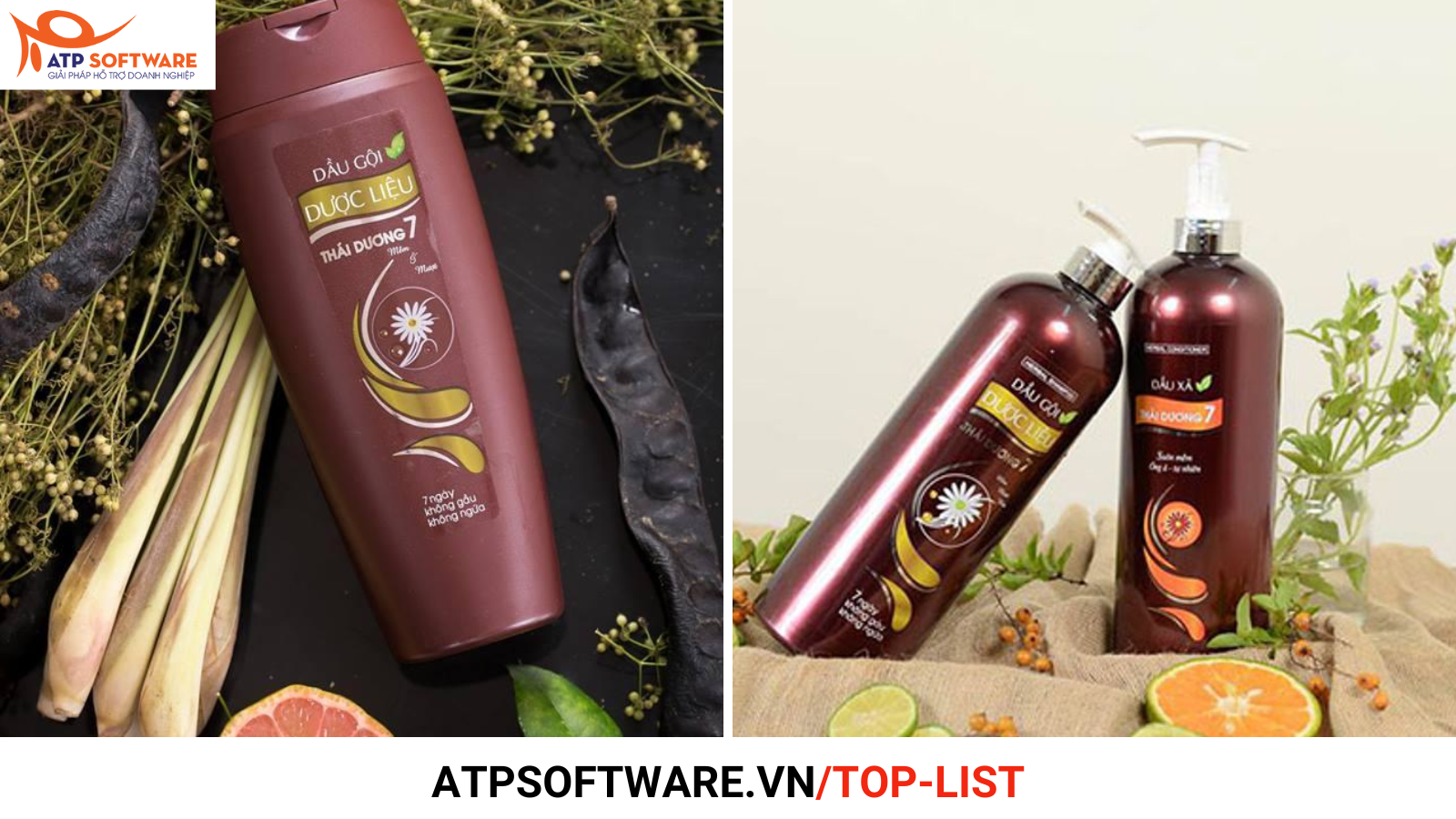 Top 5 dầu gội trị gàu hiệu quả nhất hiện nay | ATP Software